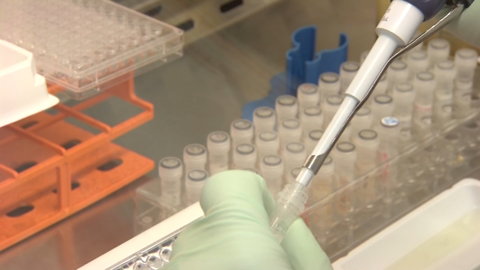 Cat tests positive for rabies after biting Fresno County resident ...