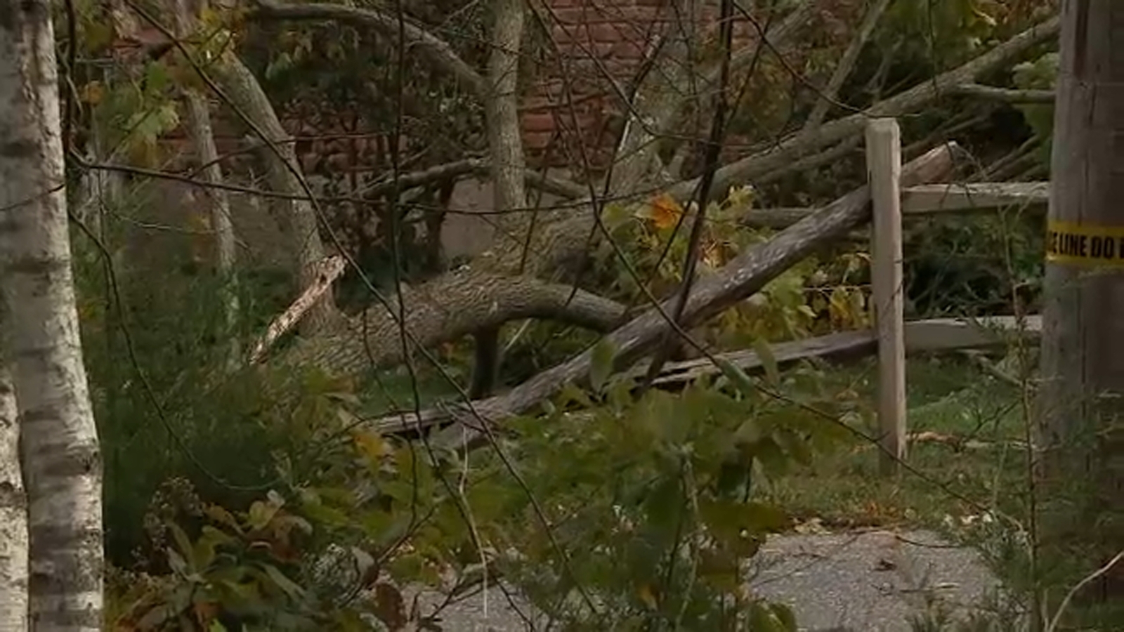 Powerful nor'easter packs heavy winds, downs trees and causes power ...