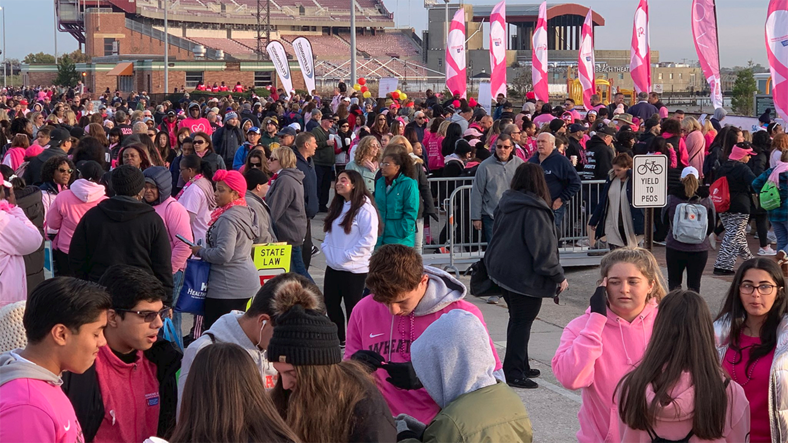 Making Strides Against Breast Cancer walks held to raise money and ...