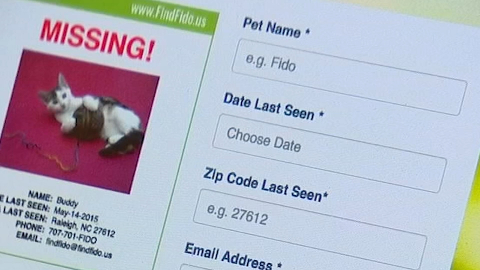 Scammers target pet owners looking for lost animals on social media ...