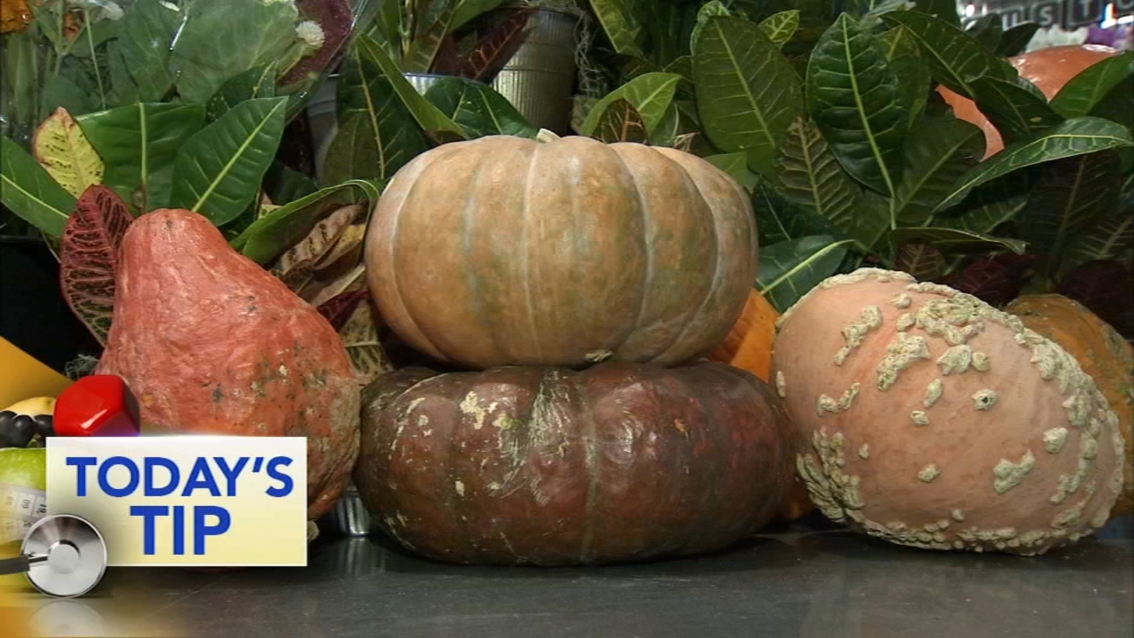 Heirloom pumpkins burst on the scene - Today's Tip - 6abc Philadelphia