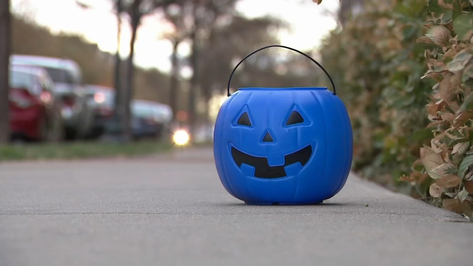 Blue pumpkins raising awareness for non-verbal children with autism ...
