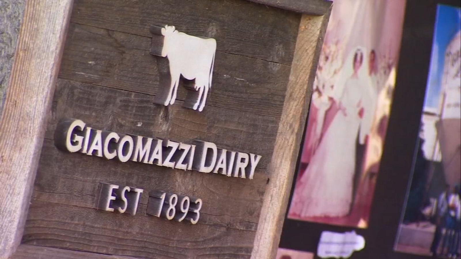 California's oldest dairy ends operations after 125 years in business ...