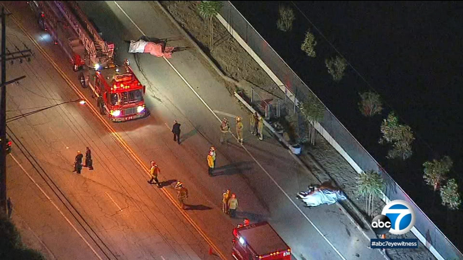 2 horses killed, 2 riders in critical condition after being struck by ...