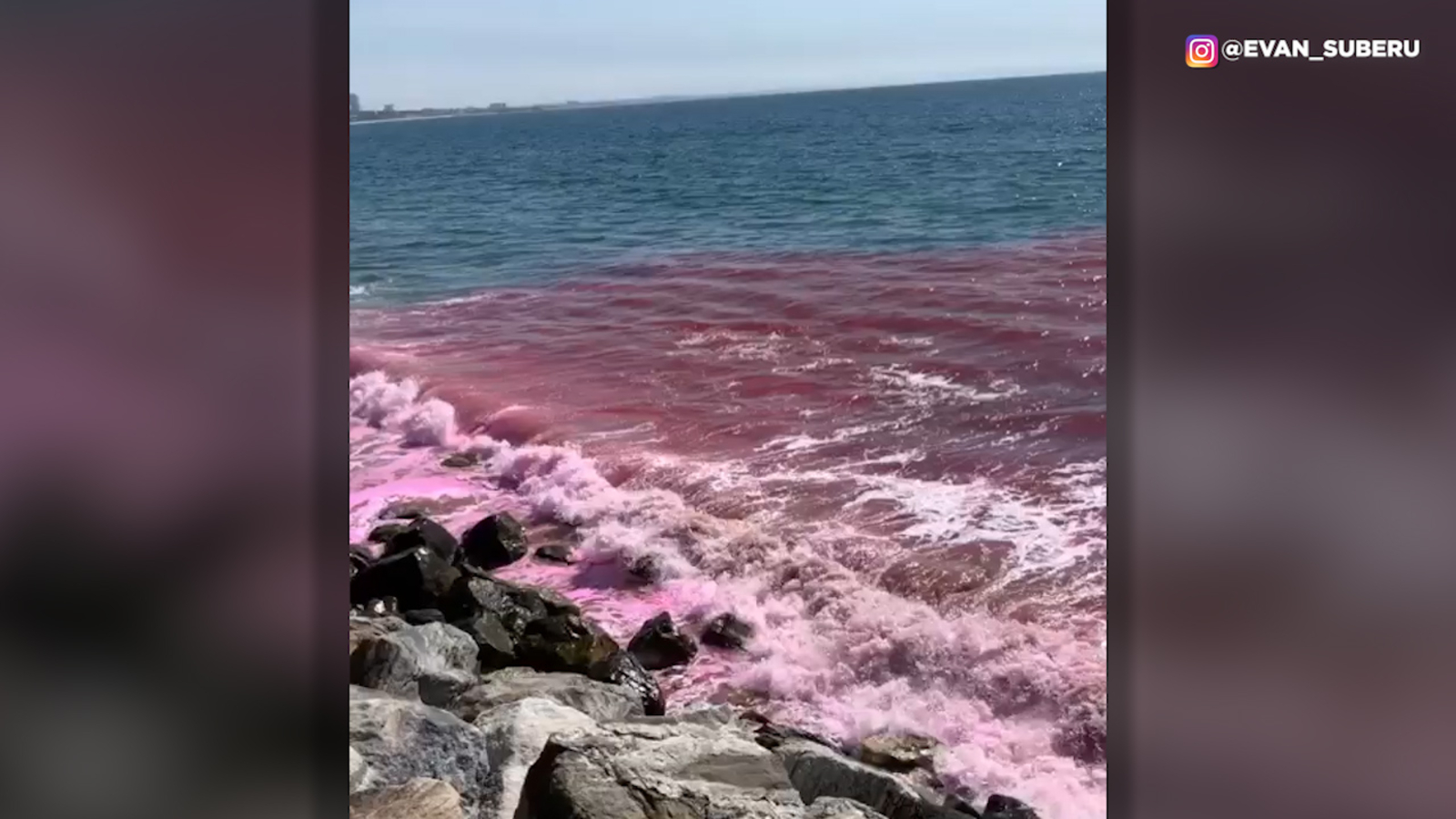 Ocean water turns pink near Malibu amid efforts to battle wildfires ...
