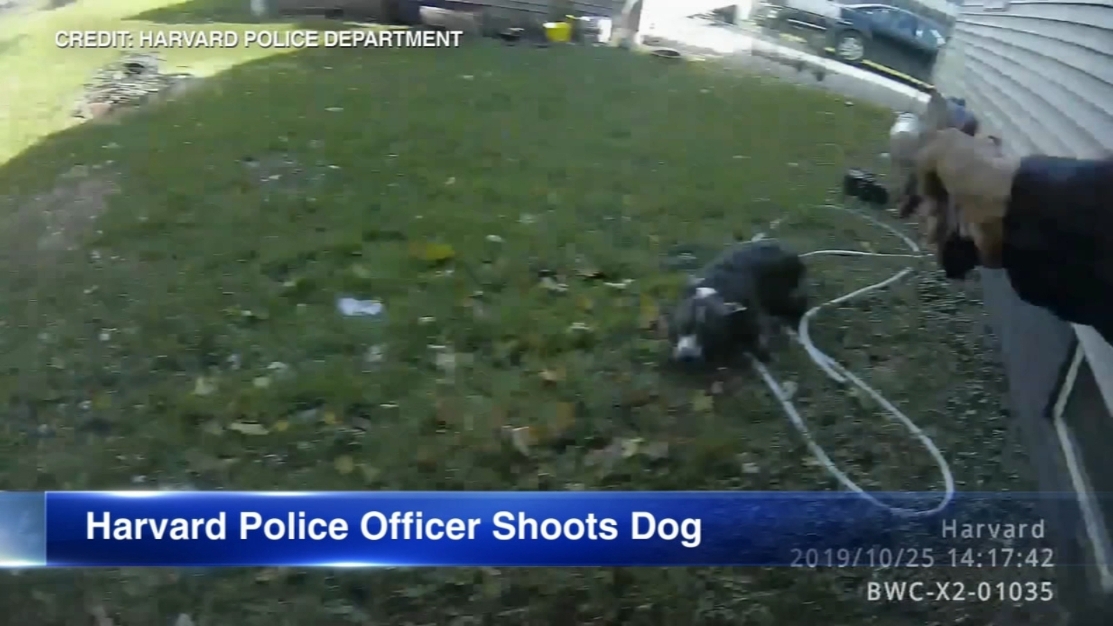 Harvard cop shoots dog while responding to call about man with gun ...