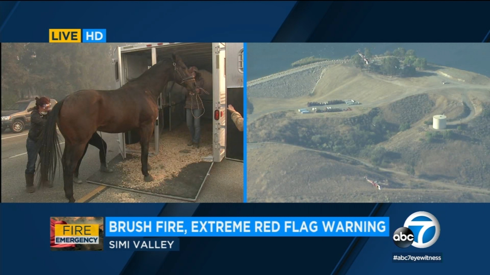 Horse owners run through thick smoke and ash hoping to get horses to ...