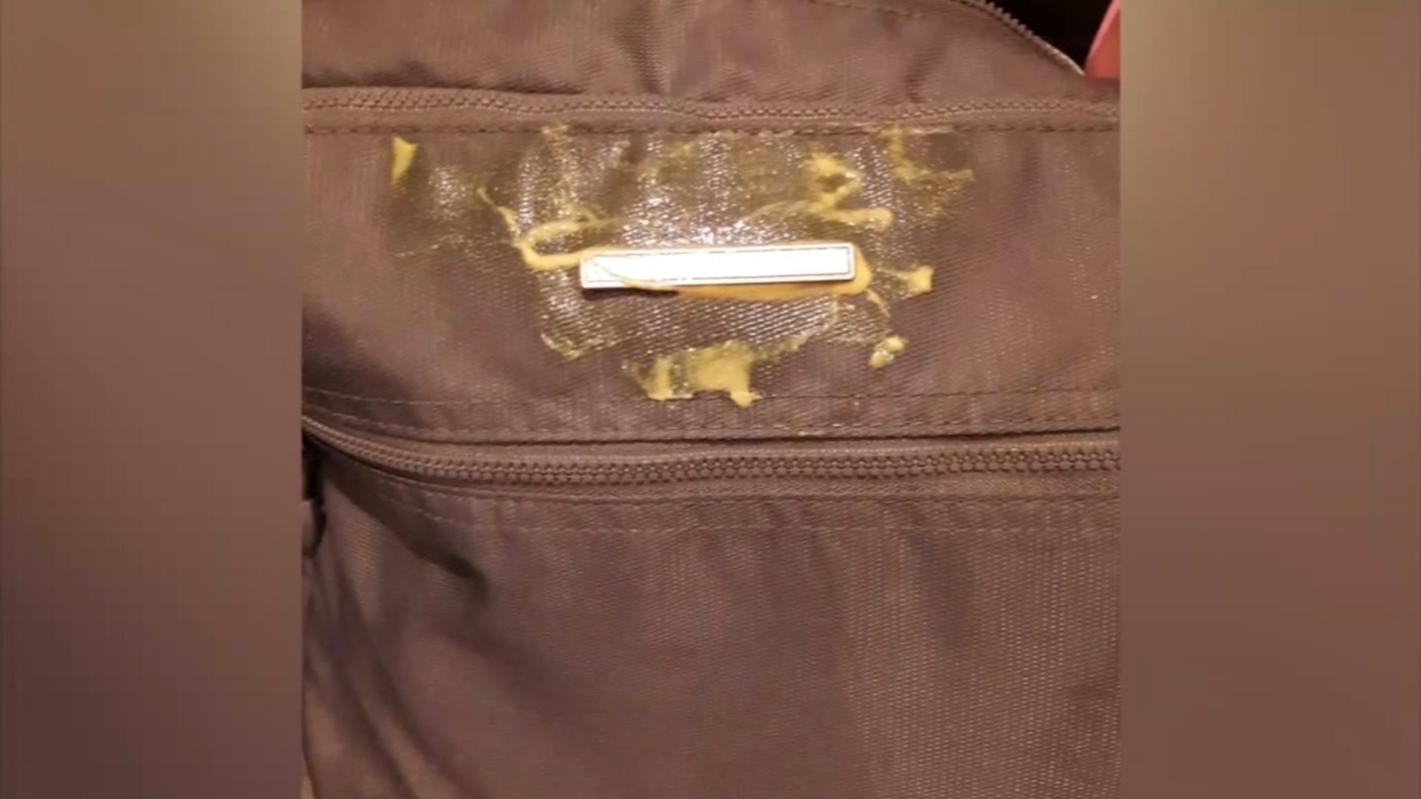 Camden County police investigating series of paintball attacks - 6abc ...