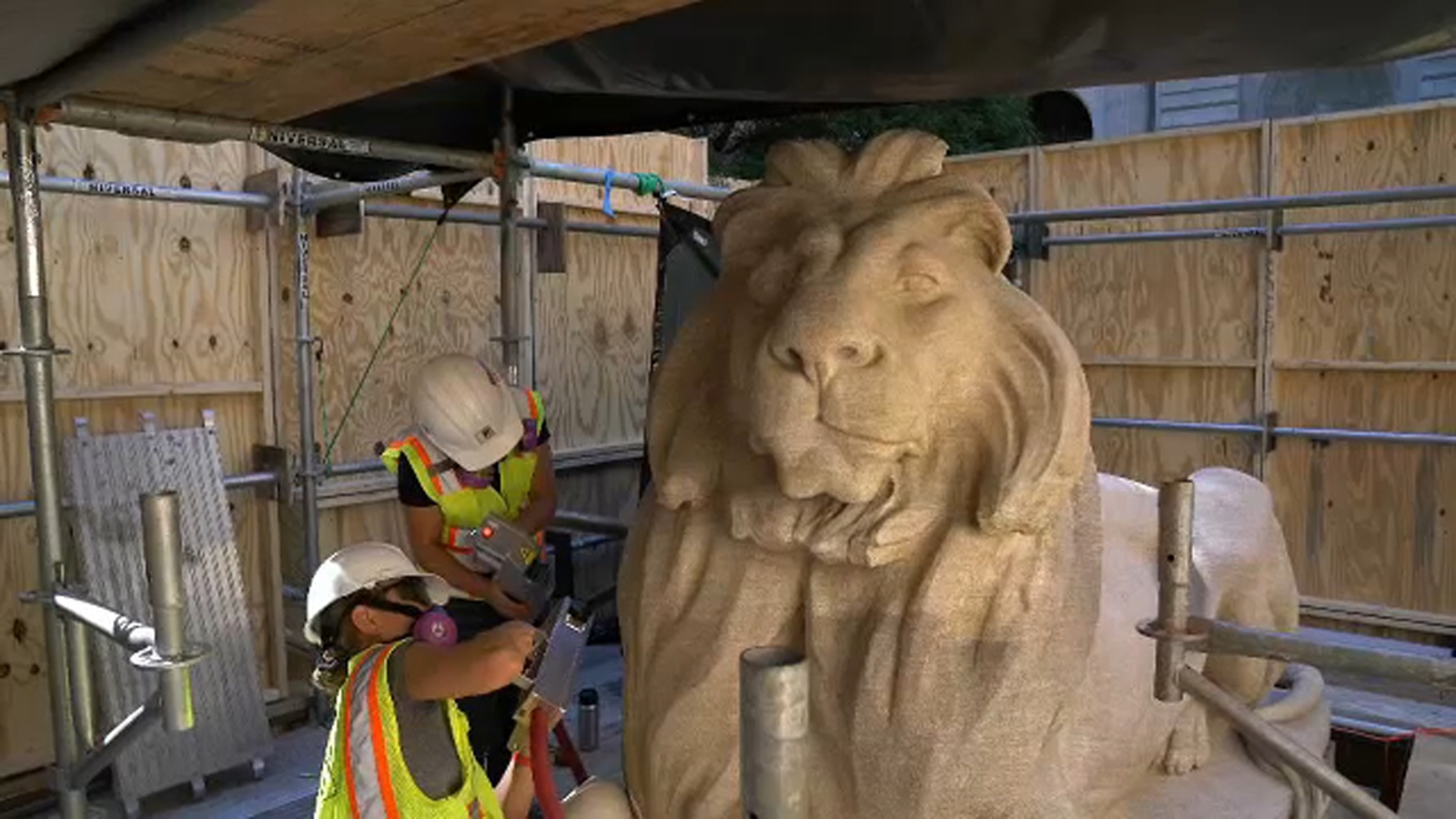 NY Public Library's iconic lion statues restored after cleaning ...