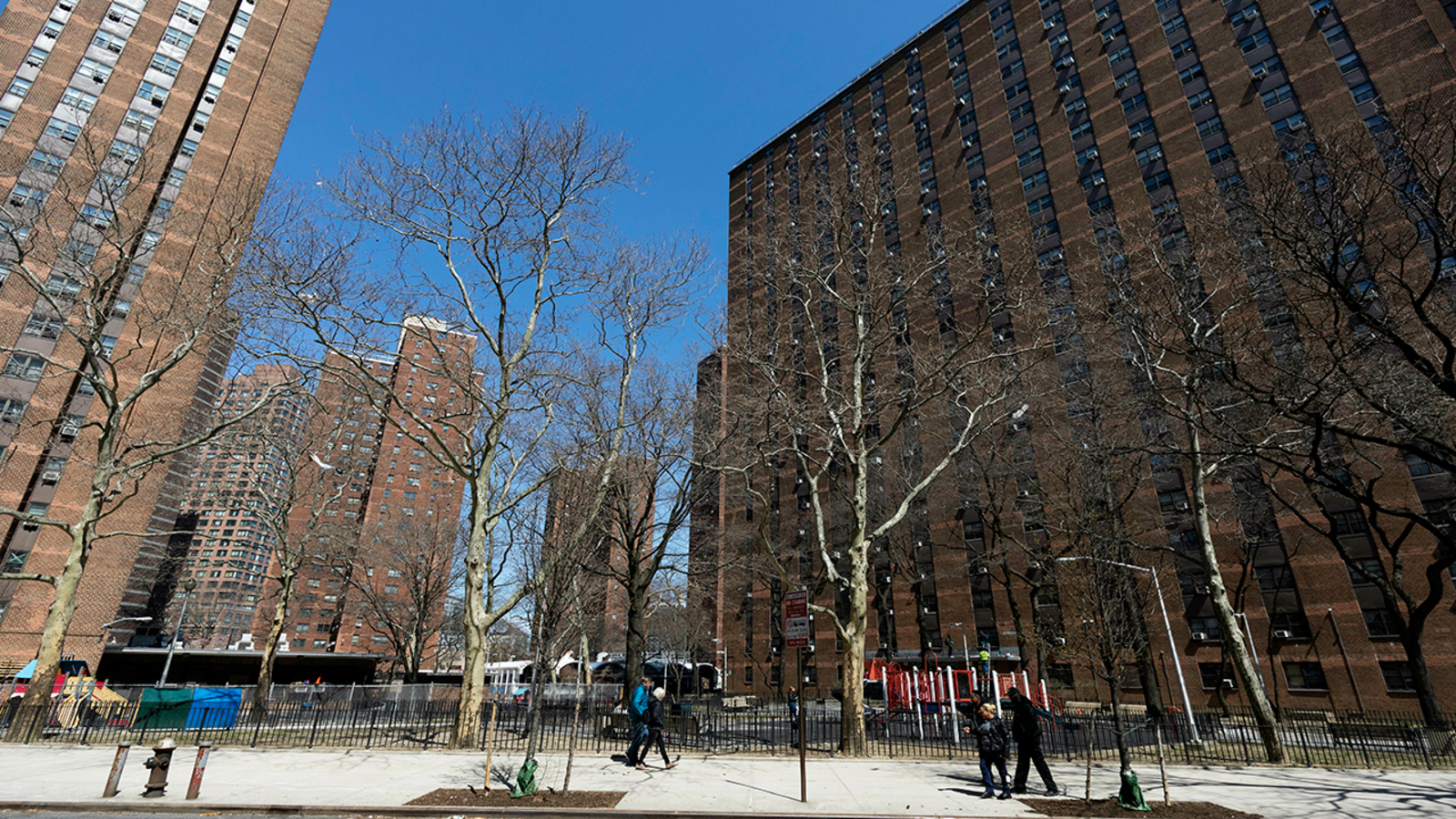 Federal monitor says NYCHA not doing enough to remove mold and lead ...
