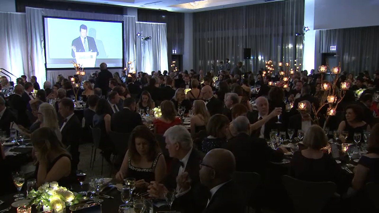 Chicago gala celebrates work of Metropolitan Family Services - ABC7 Chicago