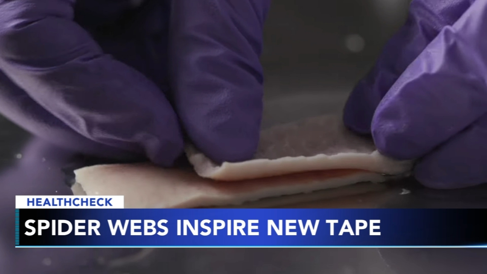 Spider webs inspire surgical tape invention - 6abc Philadelphia