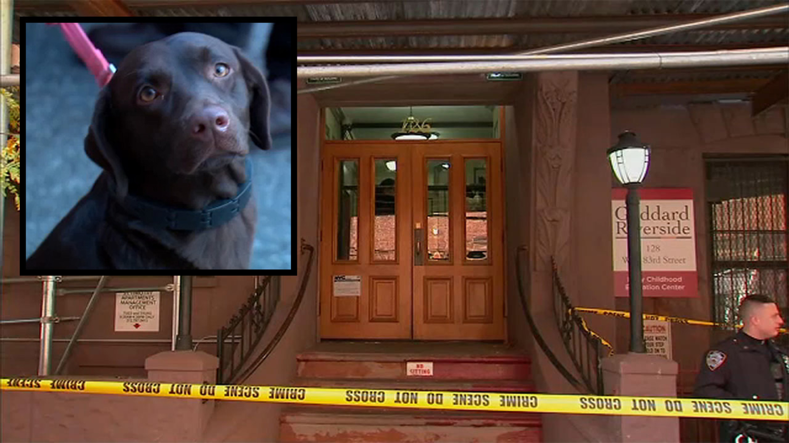 Service dog named Nela released outside during Upper West Side home ...