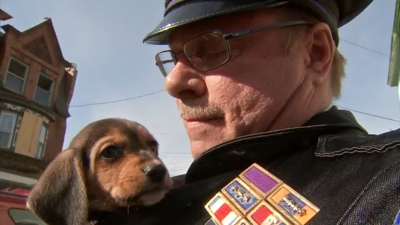 Beagles rescued from unsafe conditions, freezing temps in Philadelphia ...