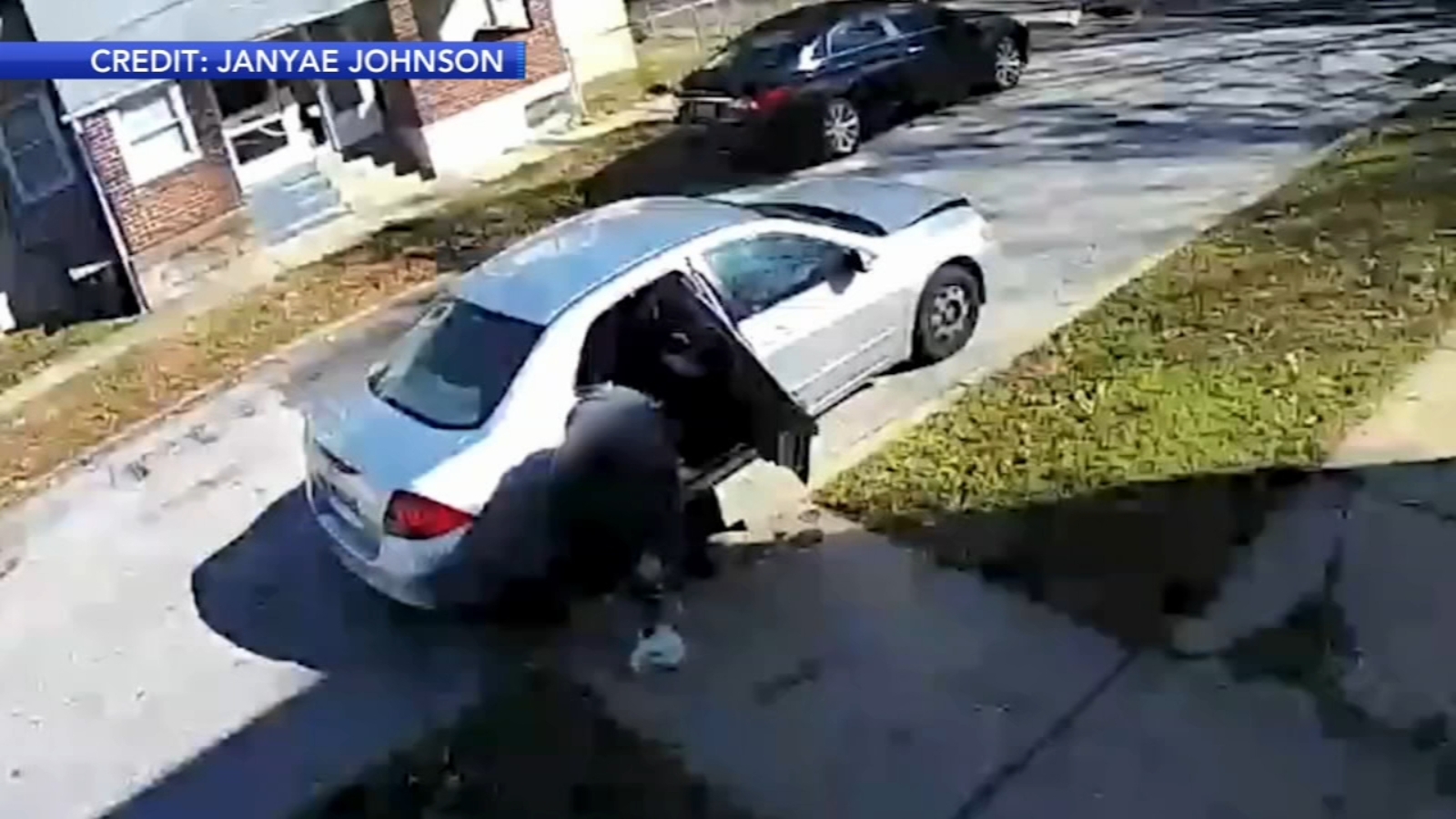 Dogs being kidnapped in Chester, Pennsylvania: Residents - 6abc ...