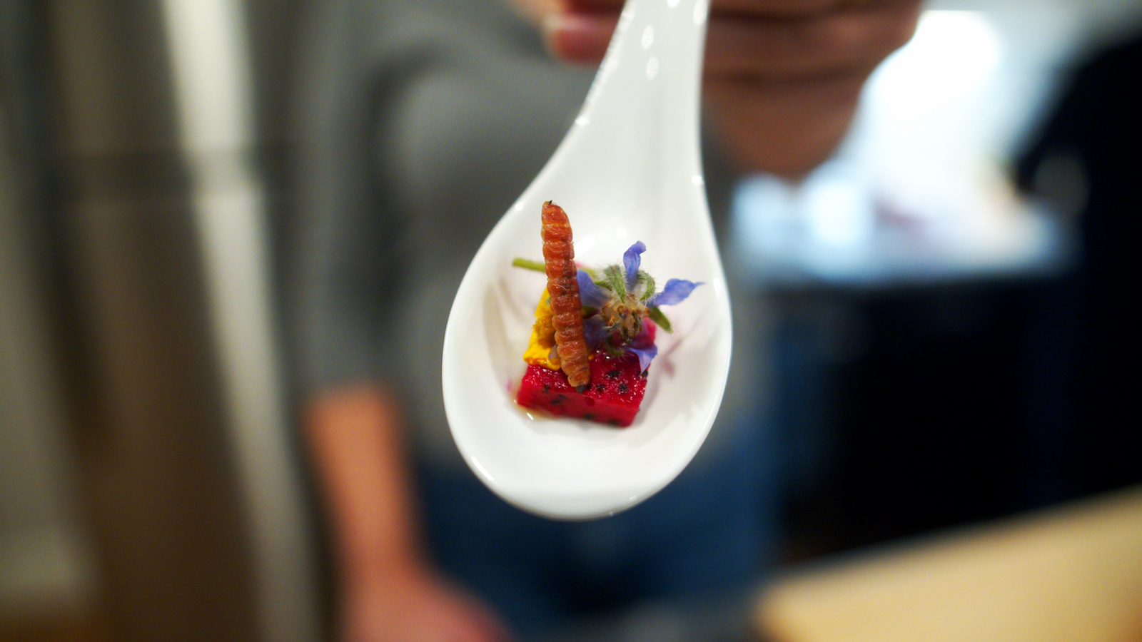 Have a Very Buggy Thanksgiving With Brooklyn BUGS! - ABC13 Houston