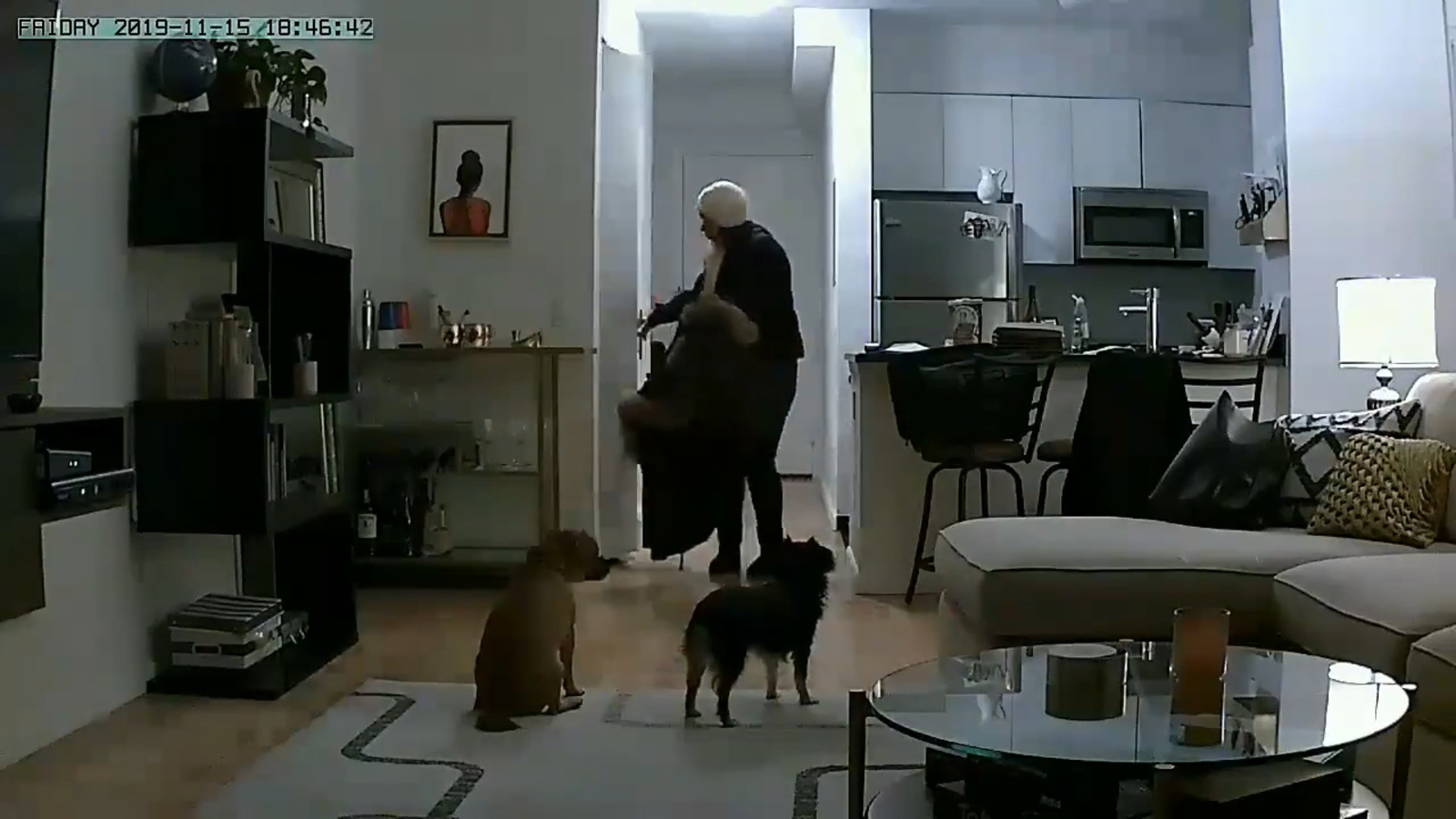 Dog walker caught on camera in alleged act of theft at client's home ...
