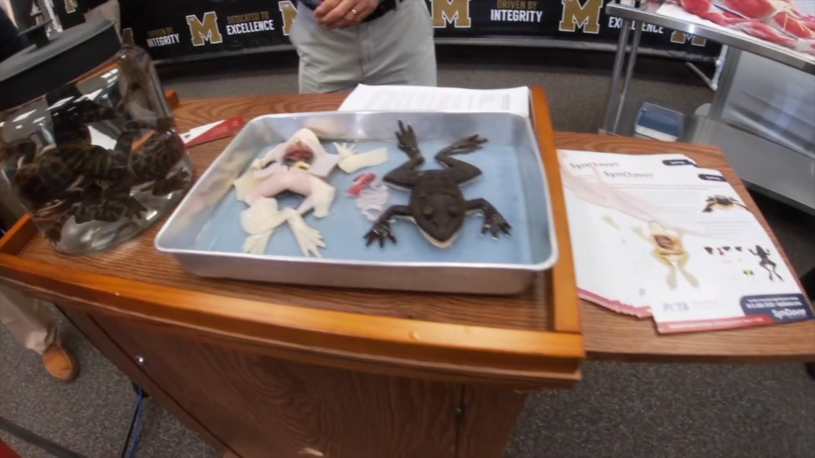 Mitchell High School in Florida becomes first in world to use synthetic ...