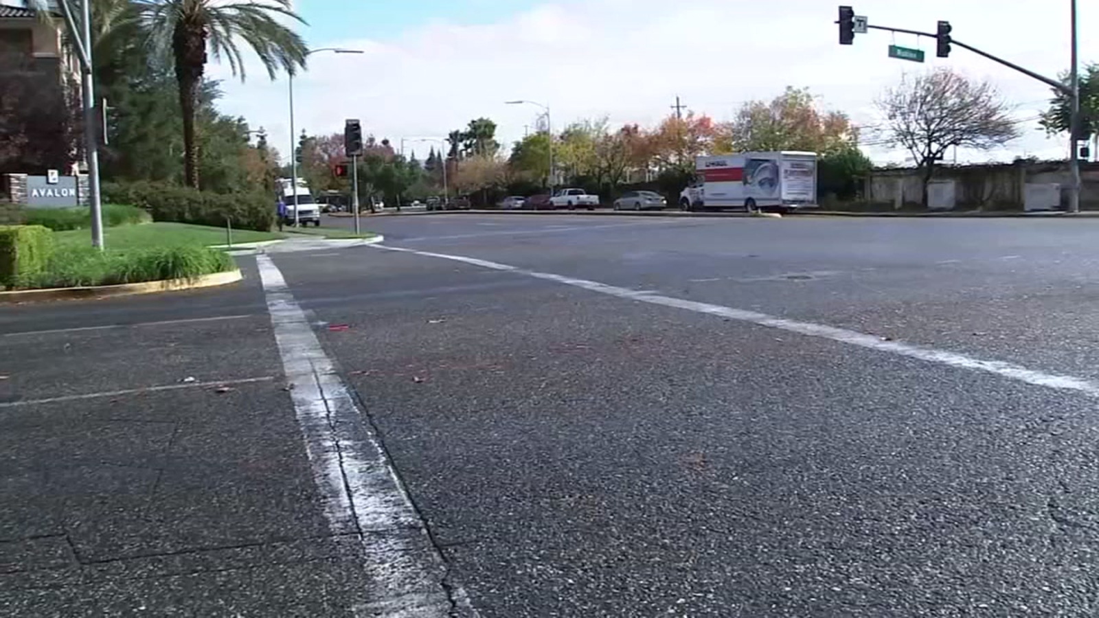 Concern Grows After 24th Pedestrian Struck Killed By Vehicle This Year