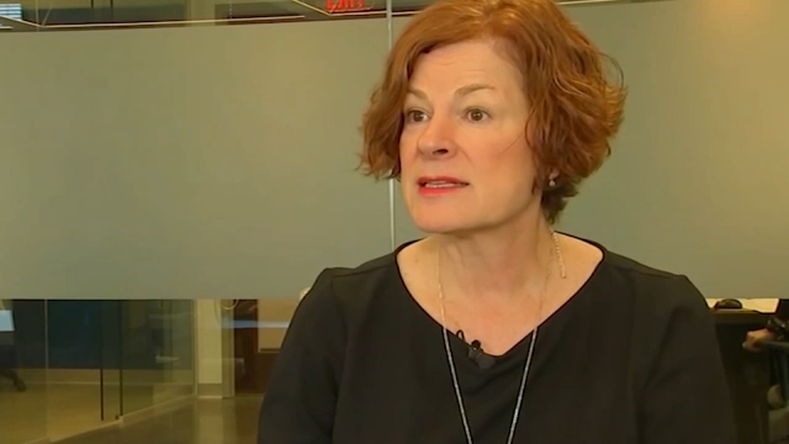 Mary-Ann Baldwin takes over reins as Raleigh's 36th mayor - ABC11 ...