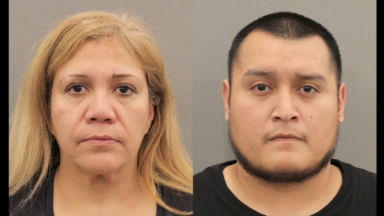 Real-life Grinches steal Christmas trees in River Oaks area - ABC13 Houston