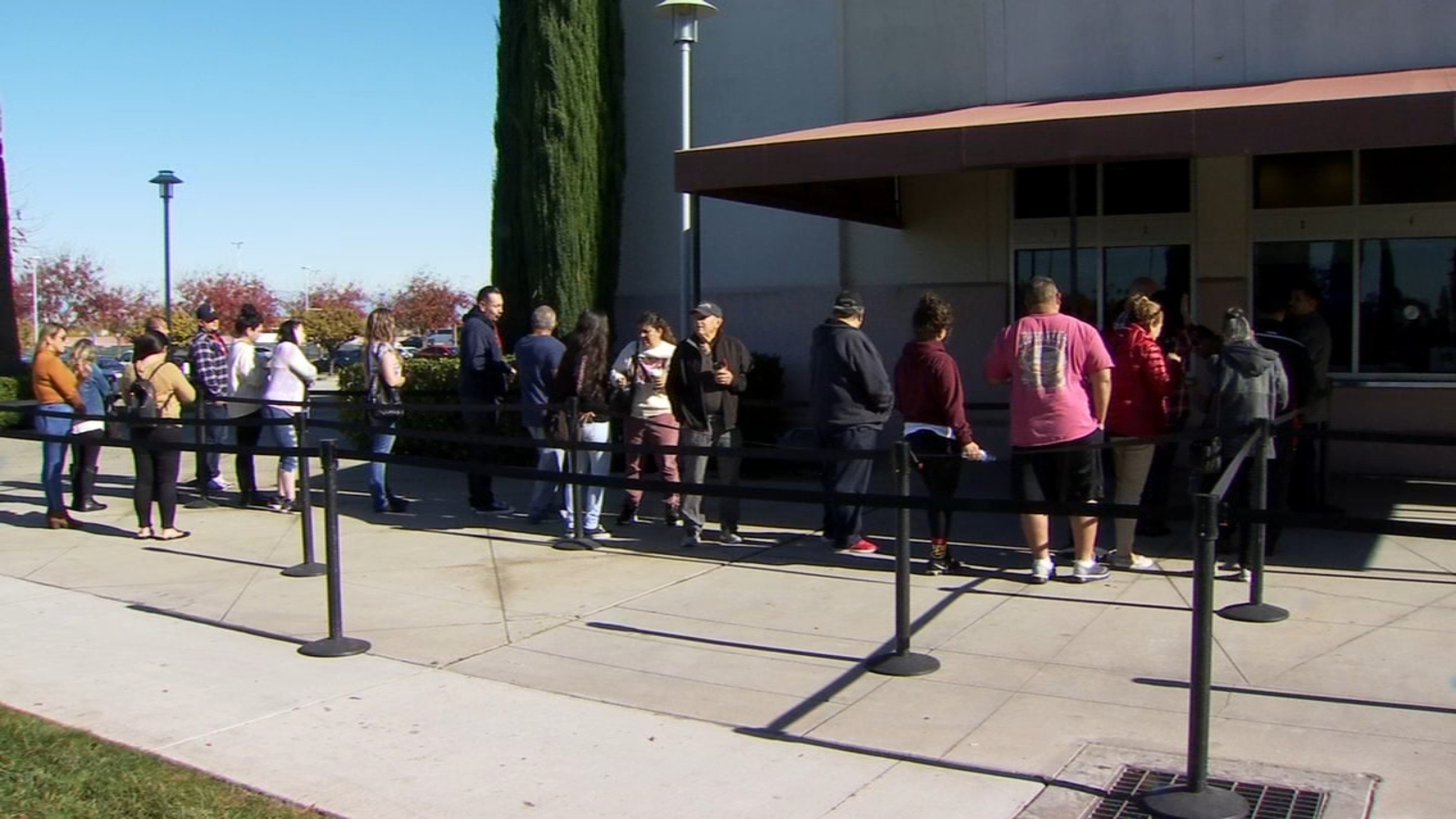 Fans line up for Pit Bull ticket sales kickoff - ABC30 Fresno