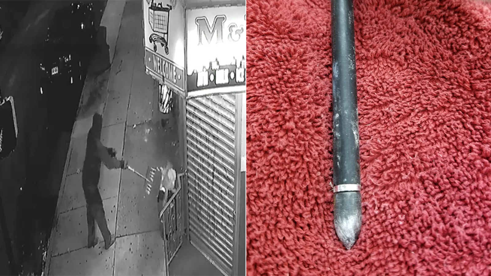 Cat dies after being shot with arrow in West Philadelphia, SPCA seeks ...