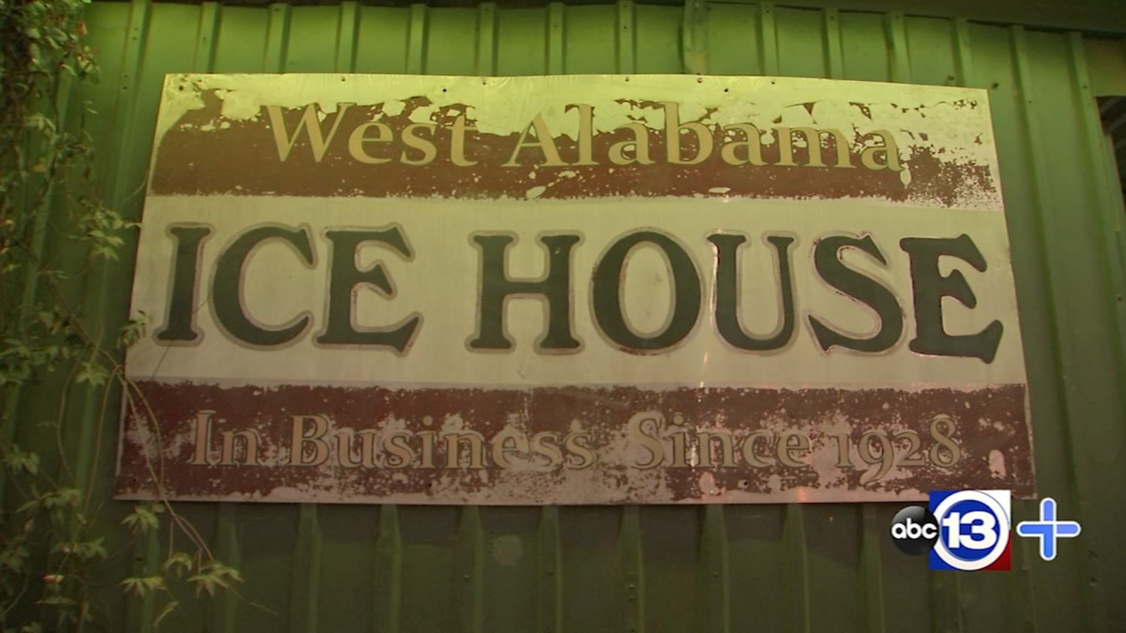 West Alabama Ice House becomes an ABC13+ Pop-Up Newsroom - ABC13 Houston