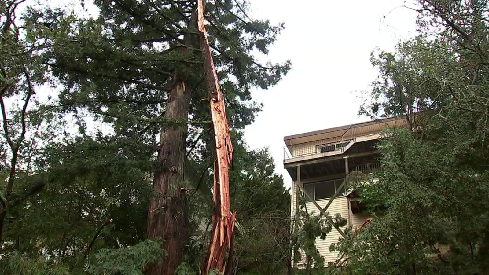 ONLY ON ABC7NEWS.COM: Family evacuated after lightning strike splits ...