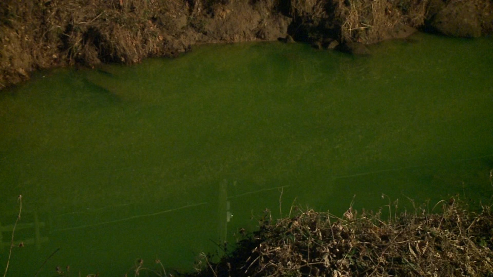 Chemical spill leaves Durham creek bright green - ABC11 Raleigh-Durham