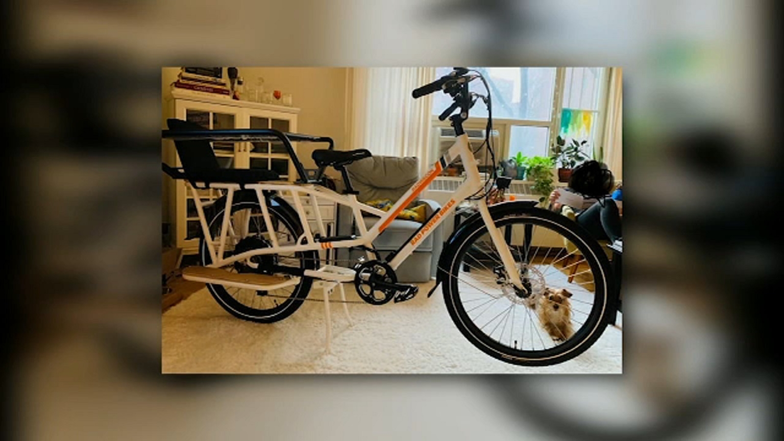 Family devastated after special bike stolen after one day - ABC7 New York