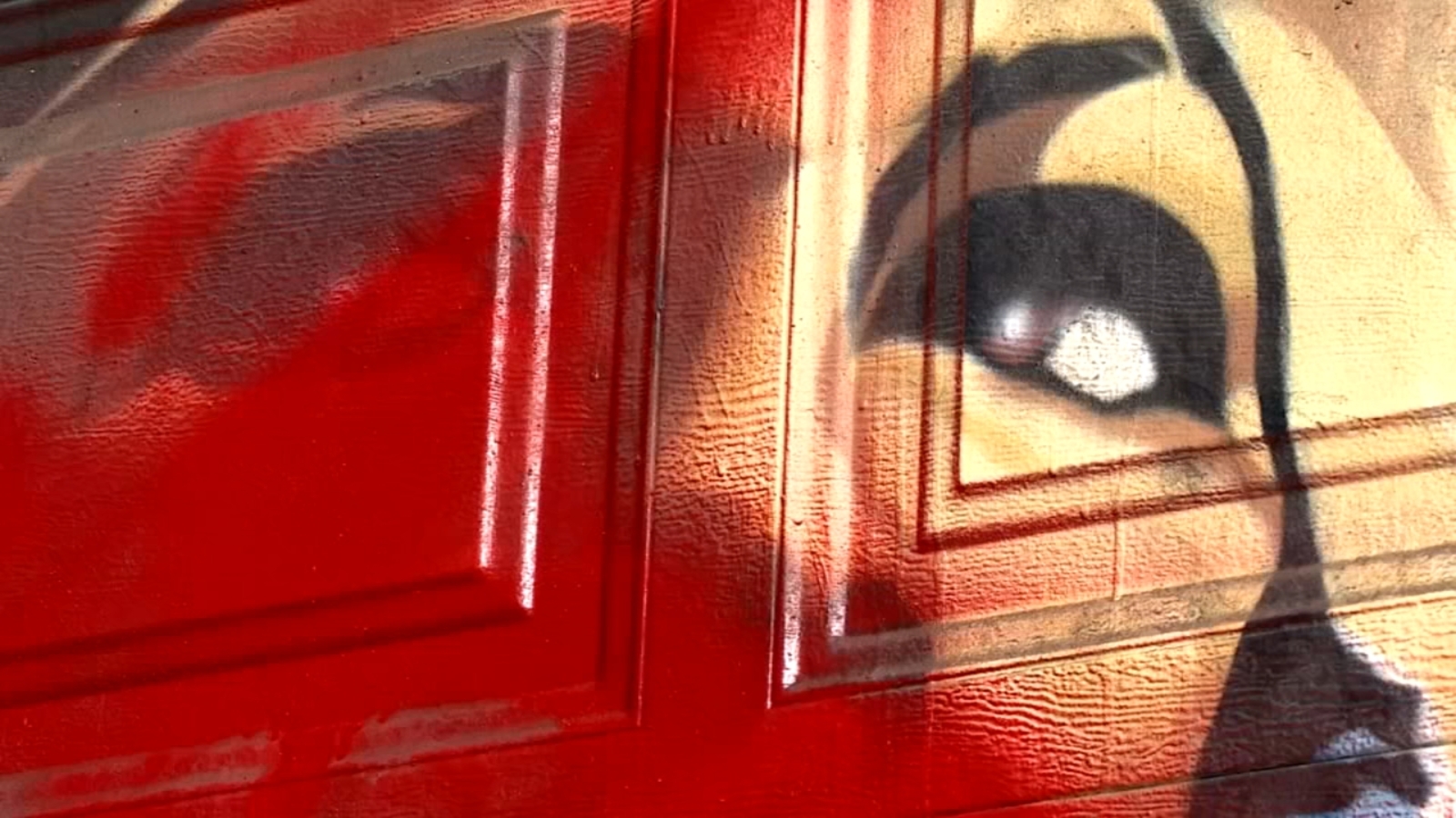 Tina Turner mural vandalized with swastika symbol in North Carolina ...