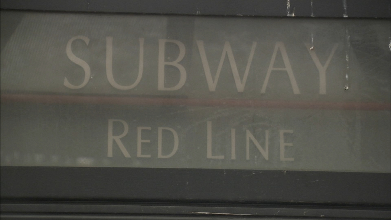 2 teenage girls charged in Red Line robbery, beating of pregnant woman ...