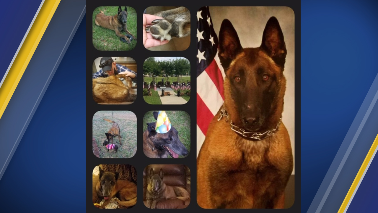Fayetteville police mourn death of retired K9 who served for 10 years ...
