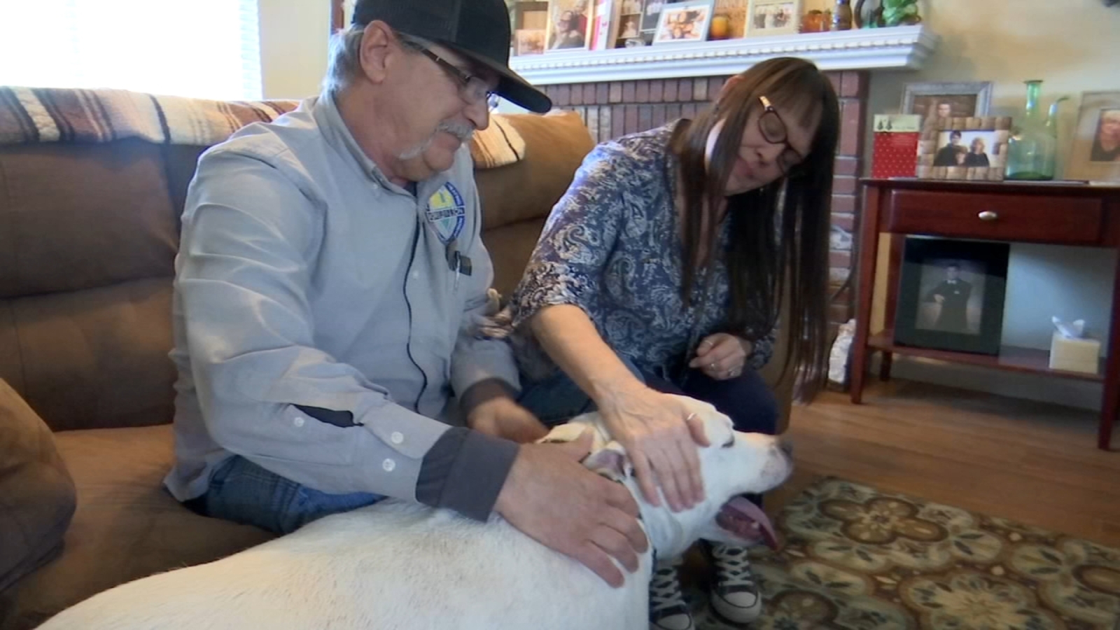 Dog rescued by firefighters from burning Reedley house finds new home - ABC30 Fresno