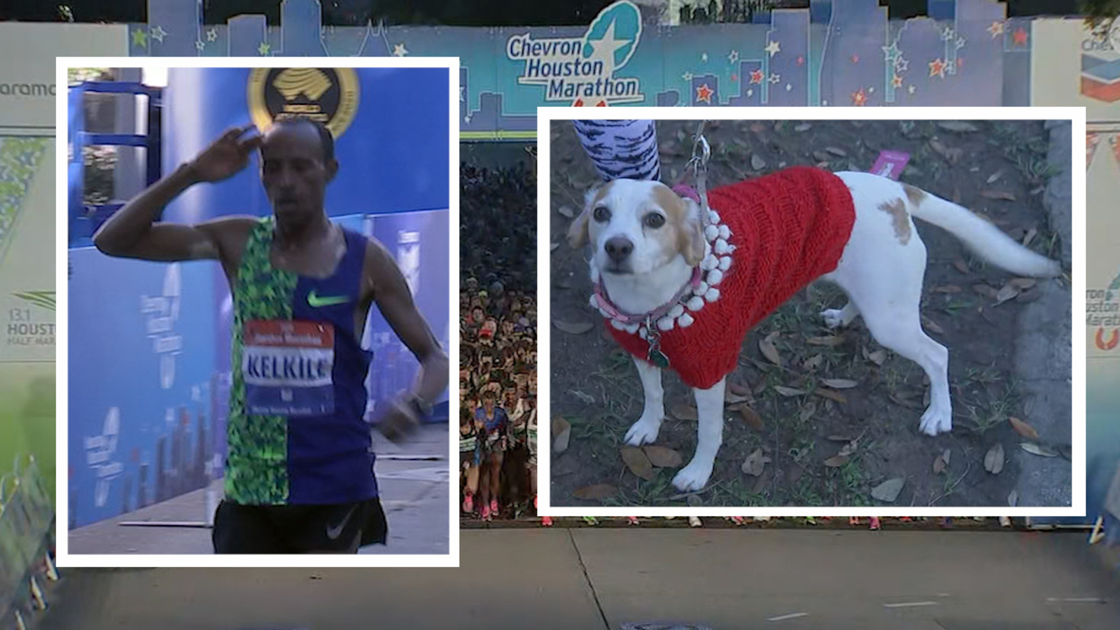 Here are the best moments from the 2020 Chevron Houston Marathon ...