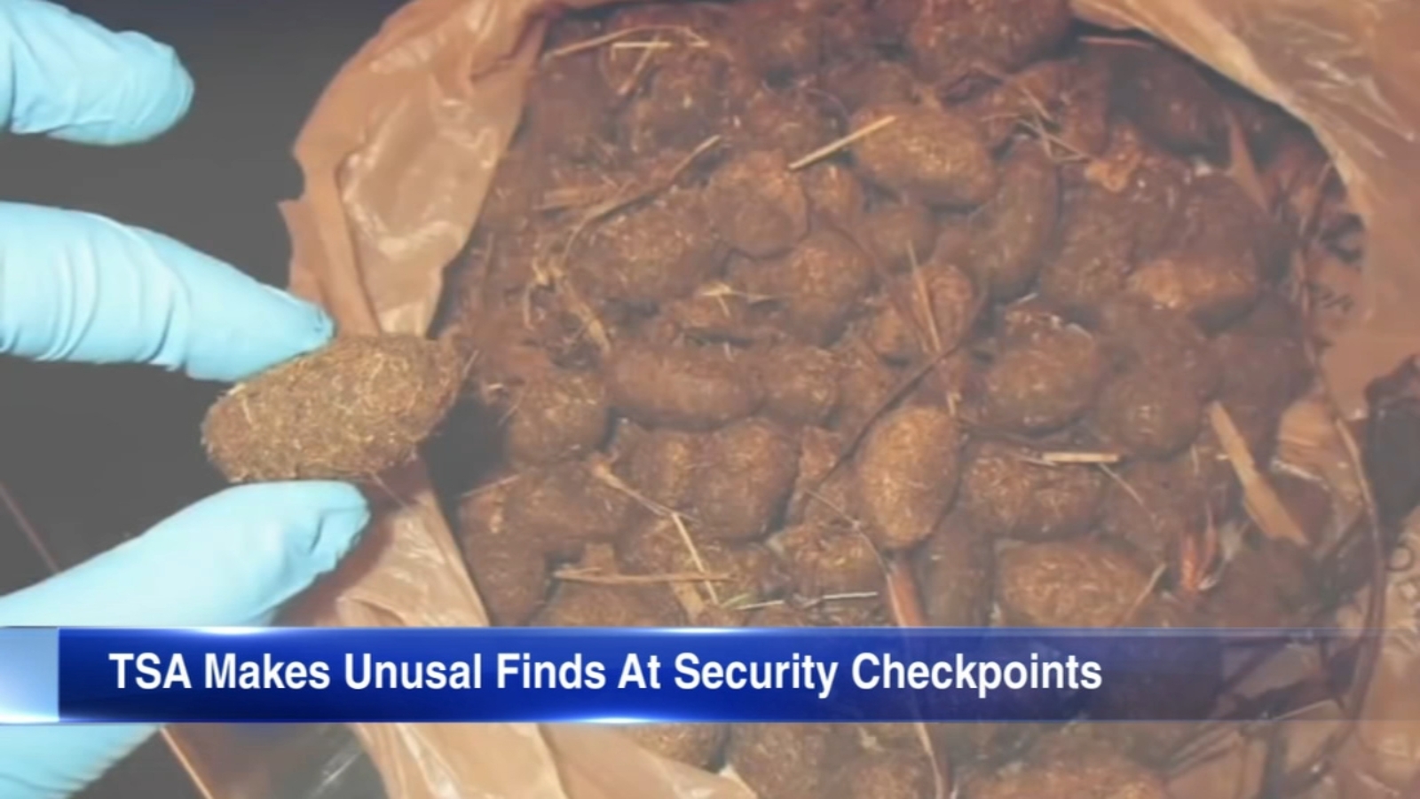 TSA shares collection of 'Top 10 Finds of 2019' - ABC7 San Francisco