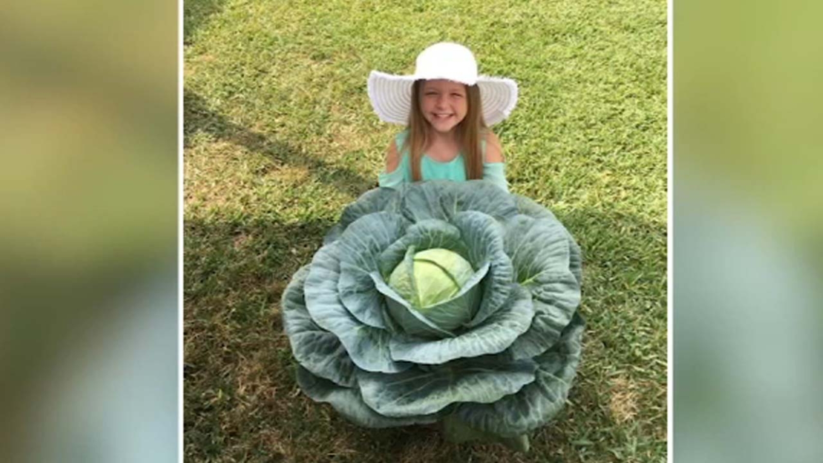 Texas 3rd grader Braylen Davidson wins $1,000 for National Bonnie ...