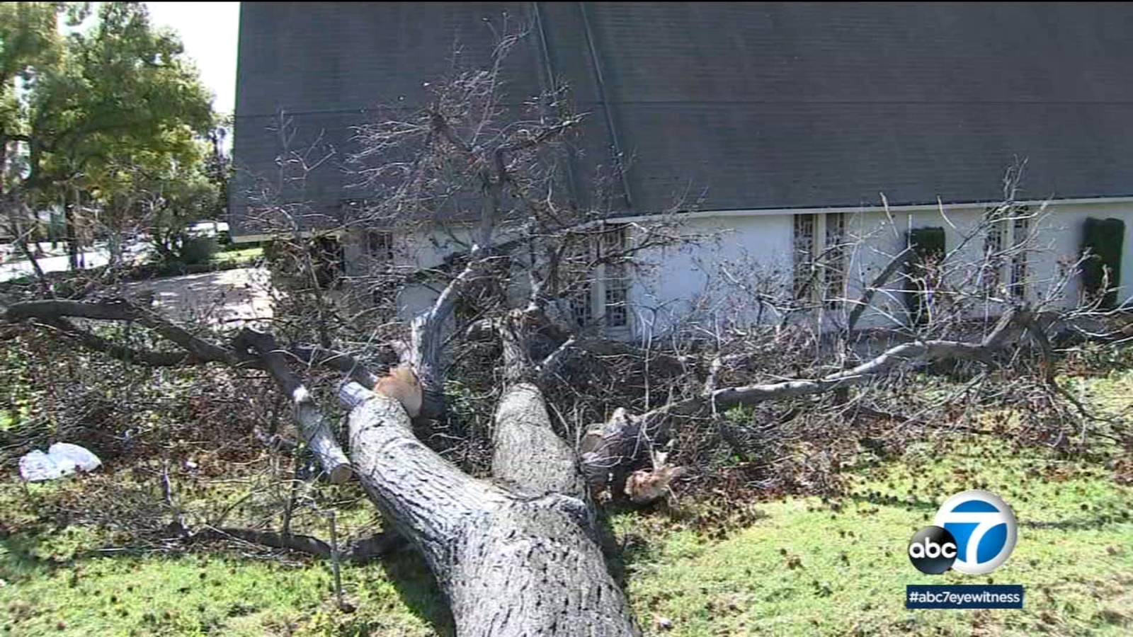 Wicked winds cause widespread damage, bring bone-chilling temps across ...