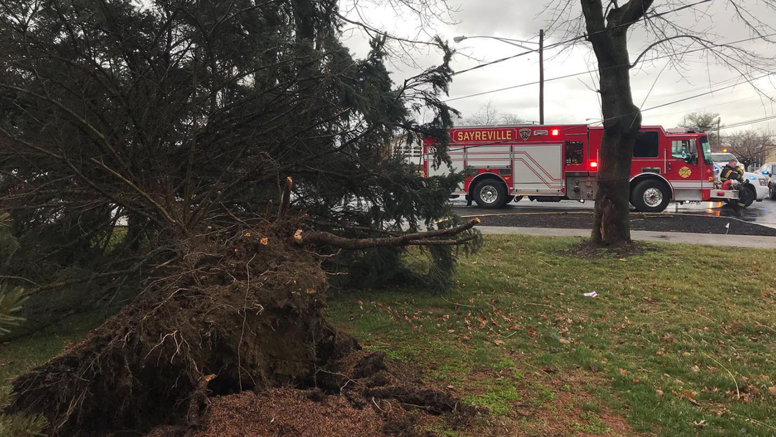 Wind, storms bring down trees, power lines across Tri-State area - ABC7 ...