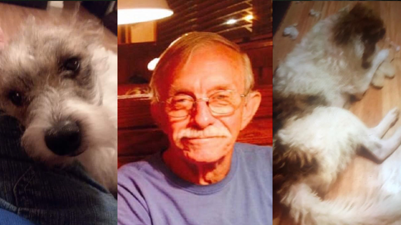 William Daniel 'Danny' Holt: Search for Person County missing man with ...