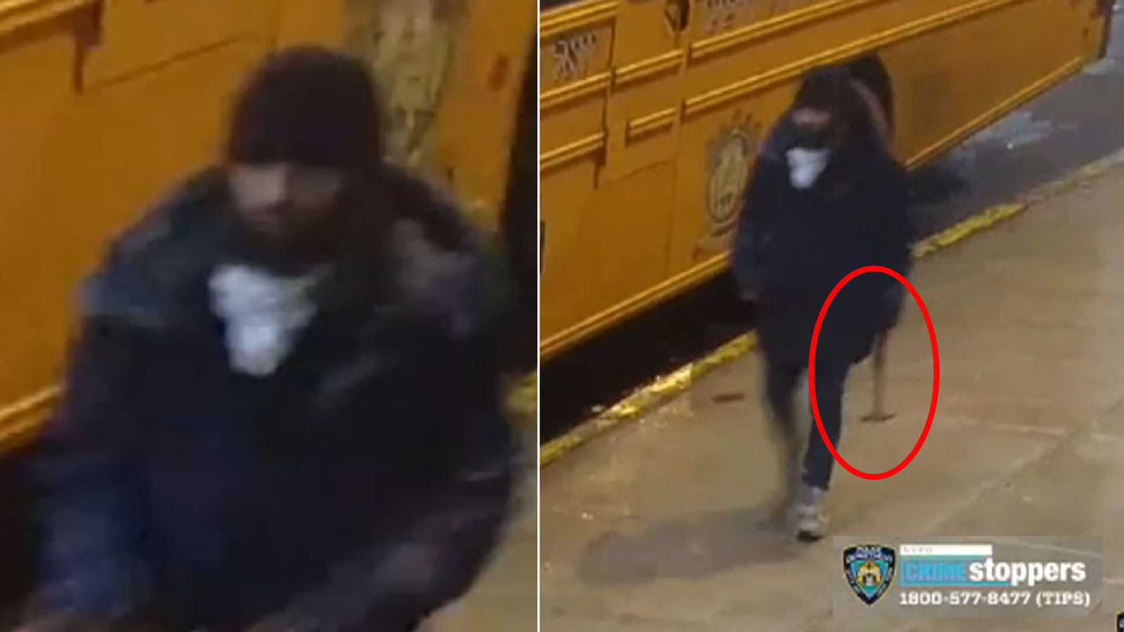 Woman hit with hammer during attempted purse snatching in Bushwick ...