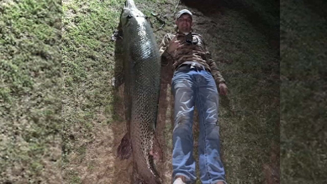 Memorial High School seniors reel in massive alligator gar in Buffalo ...