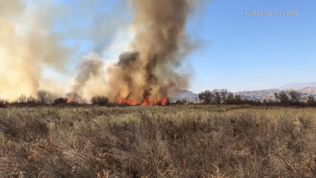 Riverside County calls for long-term cleanup of Santa Ana River bottom ...