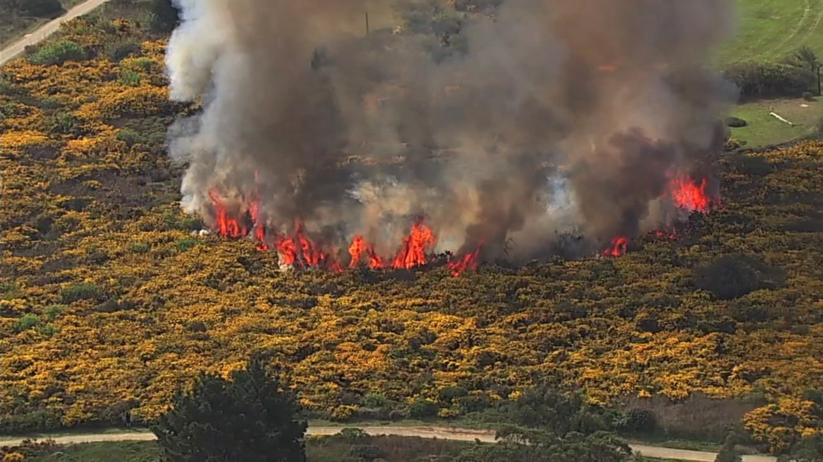 3-alarm brush fire on San Bruno Mountain rings bell for potentially ...