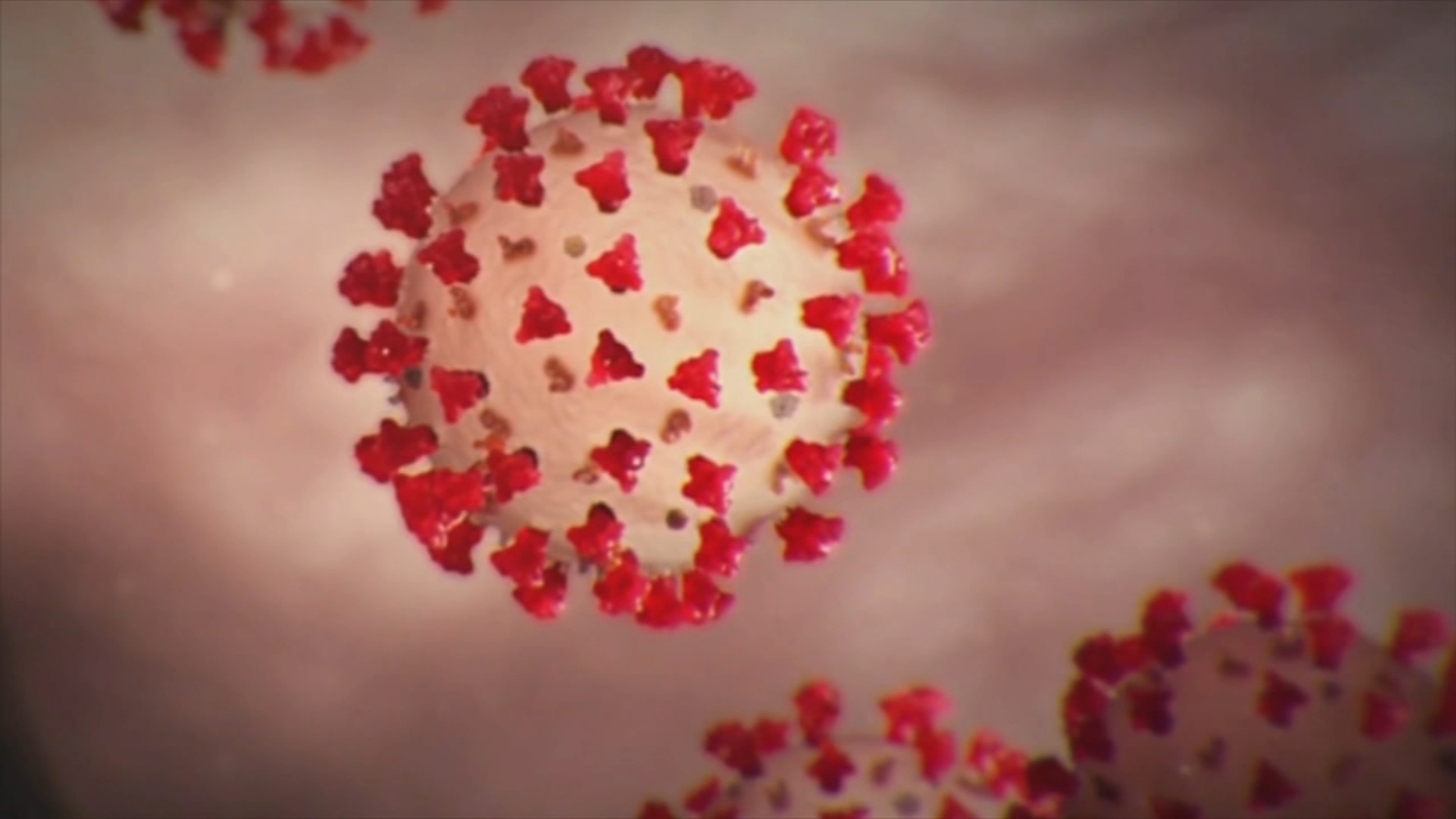 Coronavirus concerns cancel Chicago conventions, events like Fight for ...