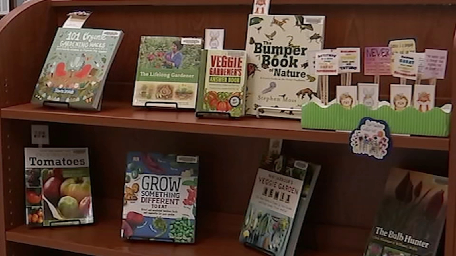 Friendswood library offers special feature for kids at home during ...