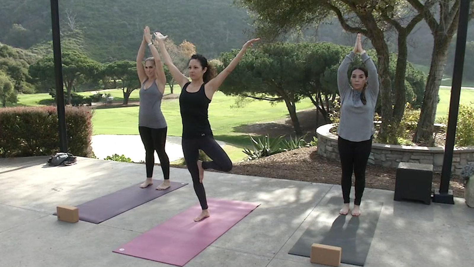 Rejuvenate Your Mind at the Pathway to Zen - ABC7 Chicago