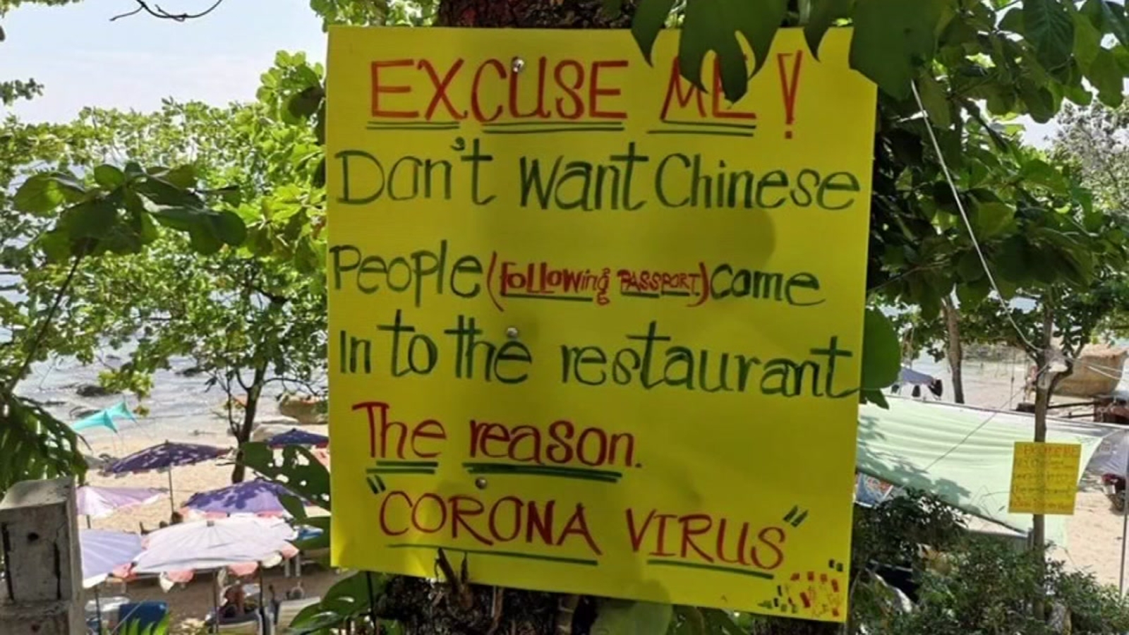 Coronavirus impact: ABC7 News anchor Dion Lim shares how COVID-19 ...