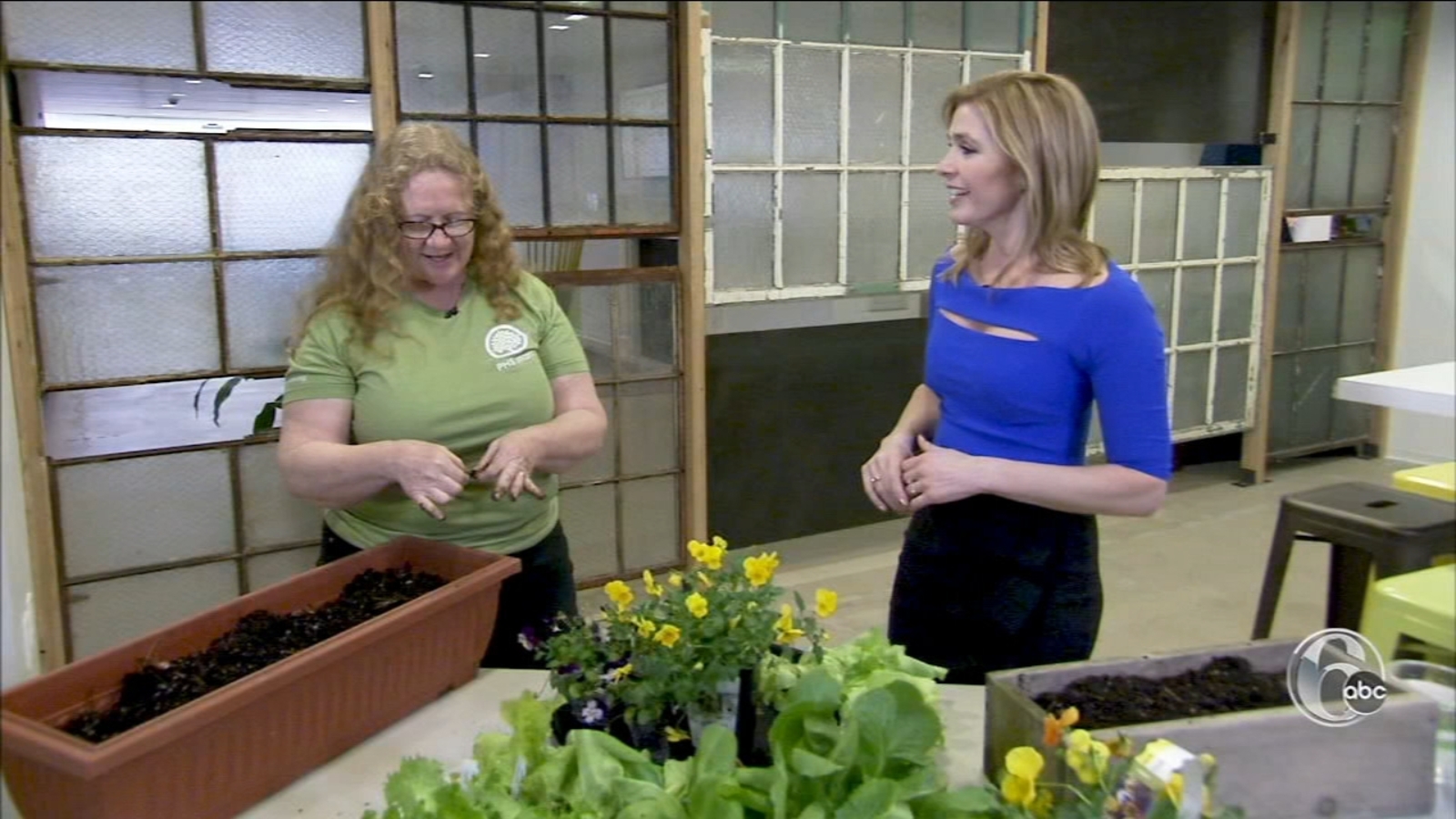 Gardening guru Sally McCabe and designer Tu Bloom offer gardening tips ...